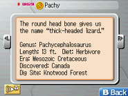 Pachy (DS) | Fossil Fighters Wiki | Fandom