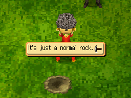 Regular Rock | Fossil Fighters Wiki | Fandom