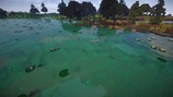 Henodus | Fossils and Archeology Mod Revival Wiki | Fandom
