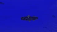 Coelacanth | Fossils and Archeology Mod Revival Wiki | Fandom