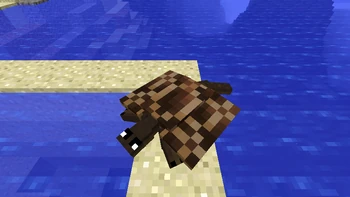 Henodus | Fossils and Archeology Mod Revival Wiki | Fandom