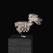 Dodo | Fossils and Archeology Mod Revival Wiki | Fandom