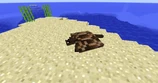 Henodus | Fossils and Archeology Mod Revival Wiki | Fandom