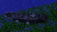 Coelacanth | Fossils and Archeology Mod Revival Wiki | Fandom