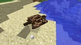 Henodus | Fossils and Archeology Mod Revival Wiki | Fandom