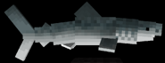 Megalodon | Fossils and Archeology Mod Revival Wiki | Fandom