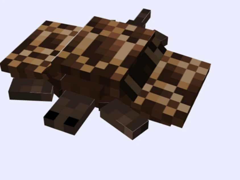 Henodus | Fossils And Archeology Wiki | Fandom