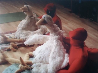 Foster Imposter Chickens | Foster Imposters Wiki | Fandom