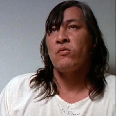 "Chief" Bromden | Fosterpedia Wiki | Fandom