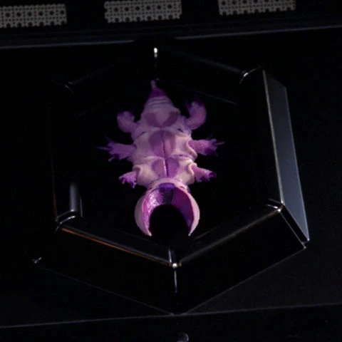 Event: Neural Parasite | Fate Of the Known Universe Wiki | Fandom