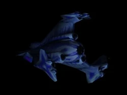 Starship: Nial-class | Fate Of the Known Universe Wiki | Fandom