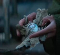 Chiton | Foundation Wiki | Fandom