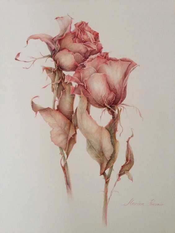 Coven of the Wilted Rose | Foundations of Fantasy Wiki | Fandom