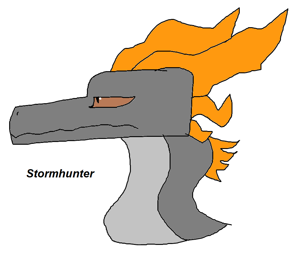 Stormhunter | Four Regions Wiki | Fandom