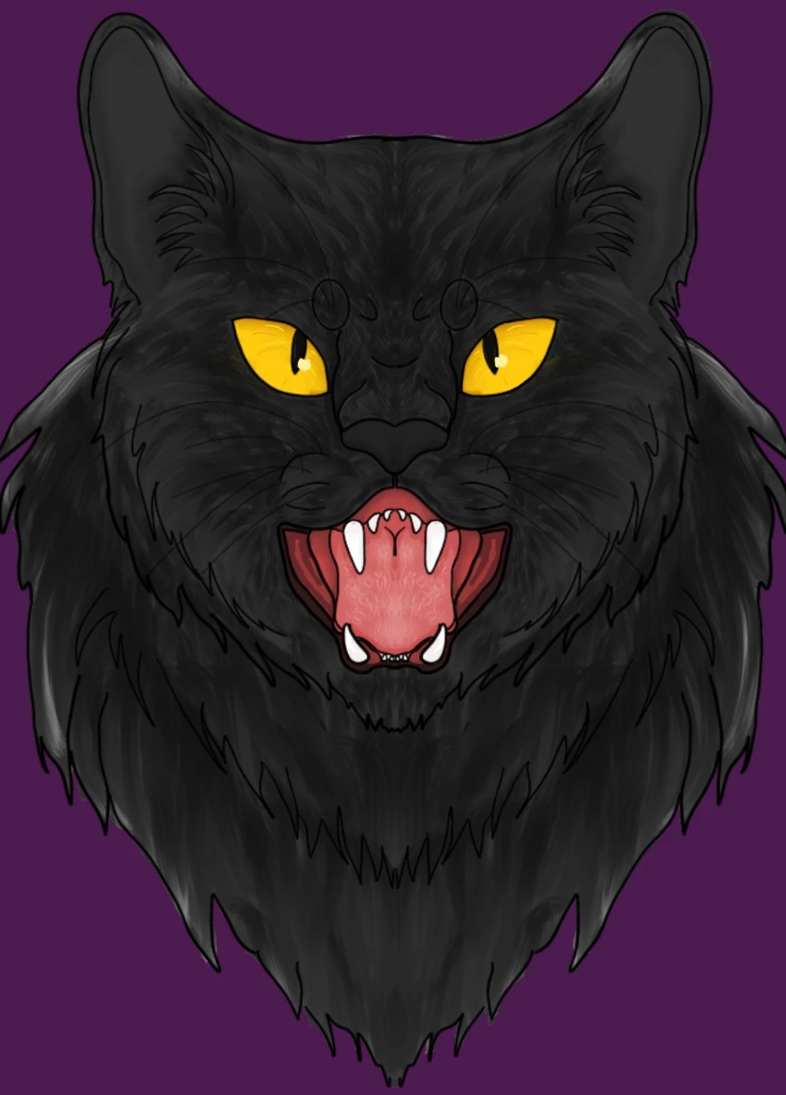 Shadowstep | Four Giants RP Wiki | Fandom