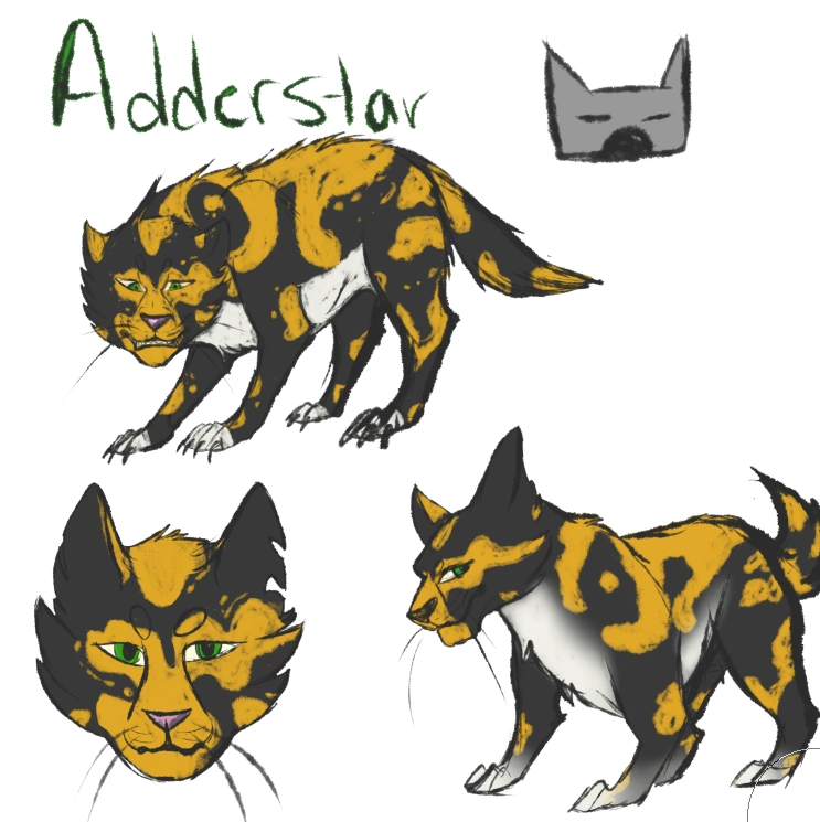 Adderstar | Four Giants RP Wiki | Fandom