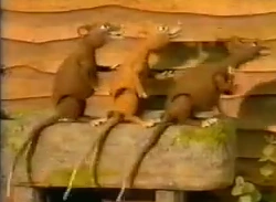 Category:Characters | Fourways Farm Wiki | Fandom