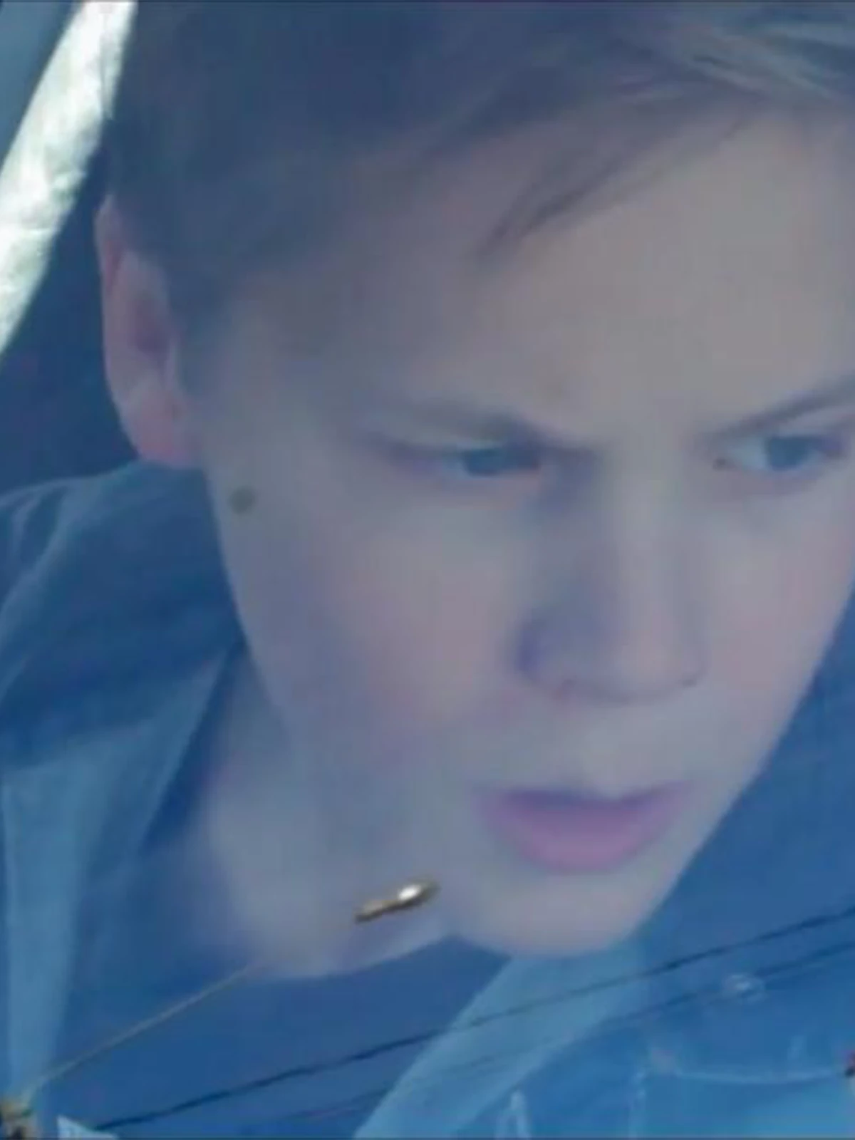 Wheels of Fortune | Fox Way Wiki | Fandom