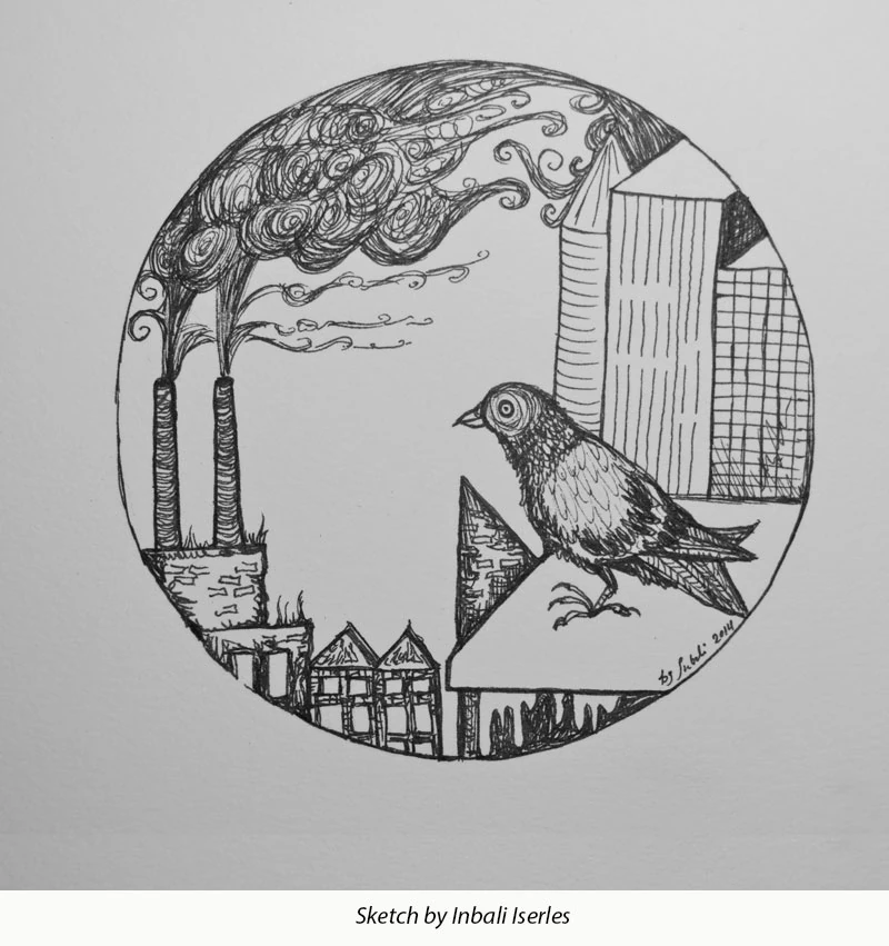 The Graylands | Foxcraft Wikia | Fandom