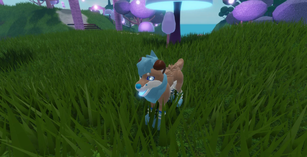 Admin 2 Fox | Foxkin Valley Wiki | Fandom