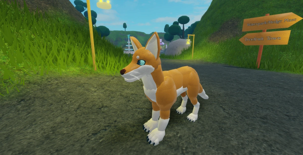 Cat Fox | Foxkin Valley Wiki | Fandom