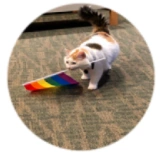 Gamepasses | Foxkin Valley Wiki | Fandom