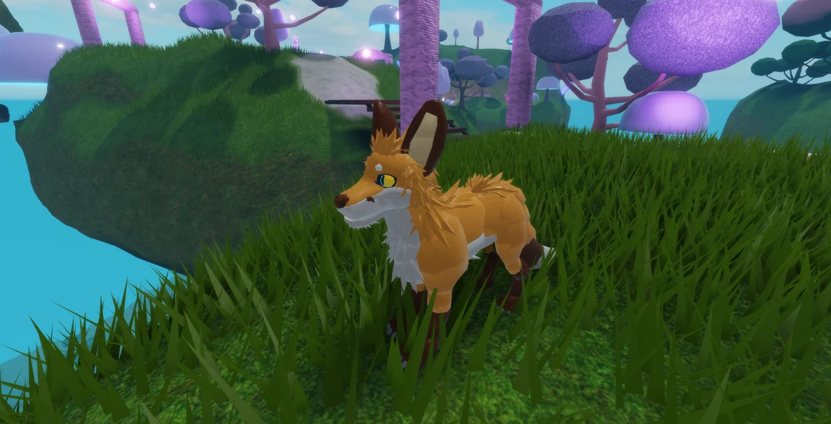 Fluffy Fox | Foxkin Valley Wiki | Fandom