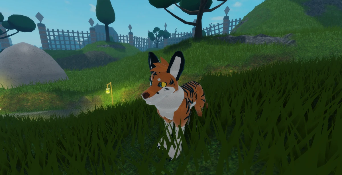 Tiger Fox | Foxkin Valley Wiki | Fandom