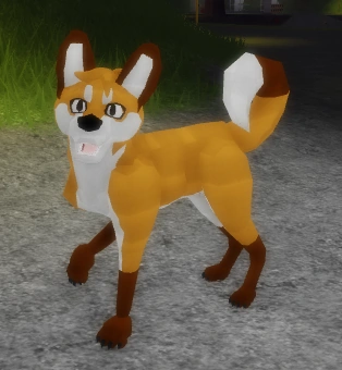 Shiba Fox | Foxkin Valley Wiki | Fandom