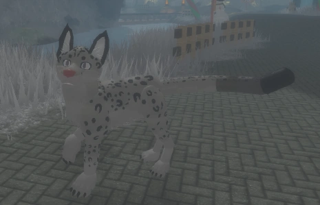 Snow Leopard Fox | Foxkin Valley Wiki | Fandom