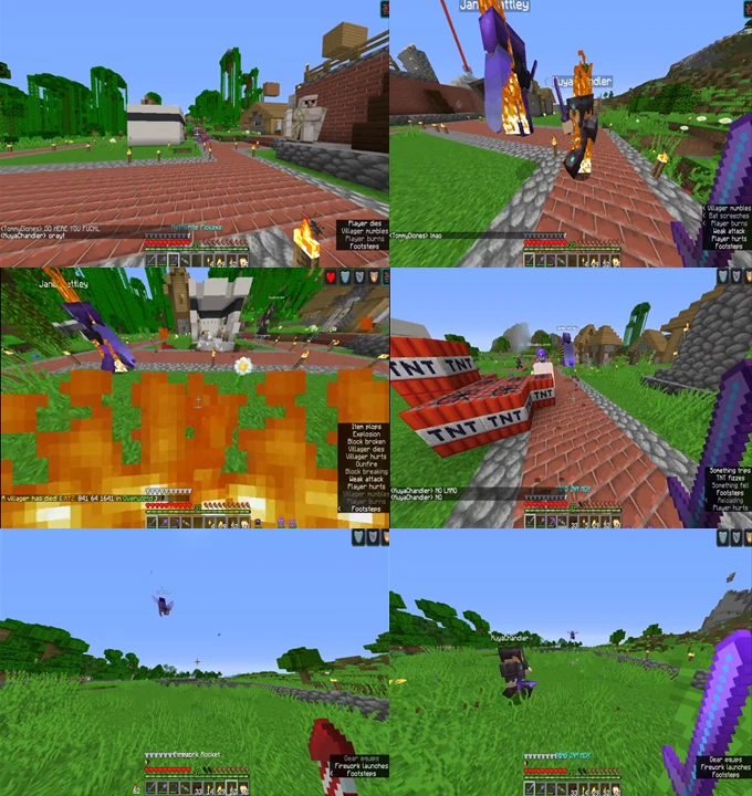 The Vanossuelan Conflict | Foxland SMP Wiki | Fandom