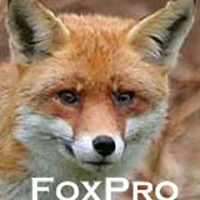 The New Foxpro Wiki | Fandom