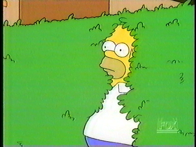 March 17, 1994 | FOX Story Archives Wiki | Fandom