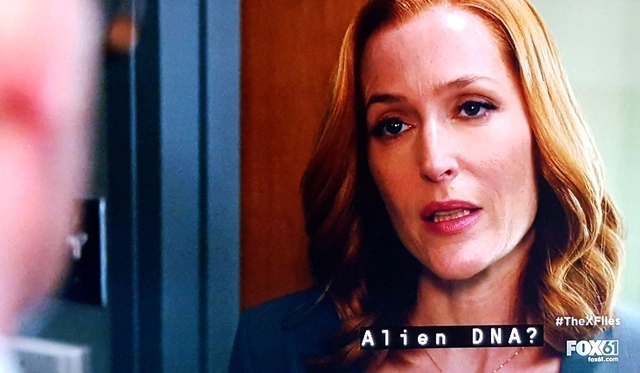 January 25, 2016 | FOX Story Archives Wiki | Fandom