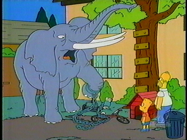 March 31, 1994 | FOX Story Archives Wiki | Fandom