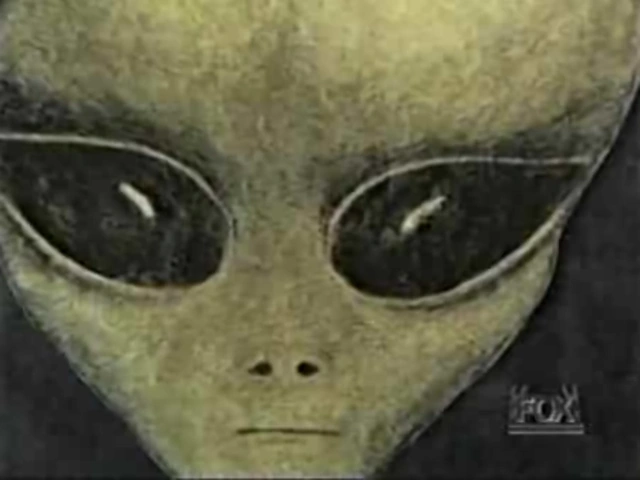 August 28, 1995 | FoxWorld Wiki | Fandom