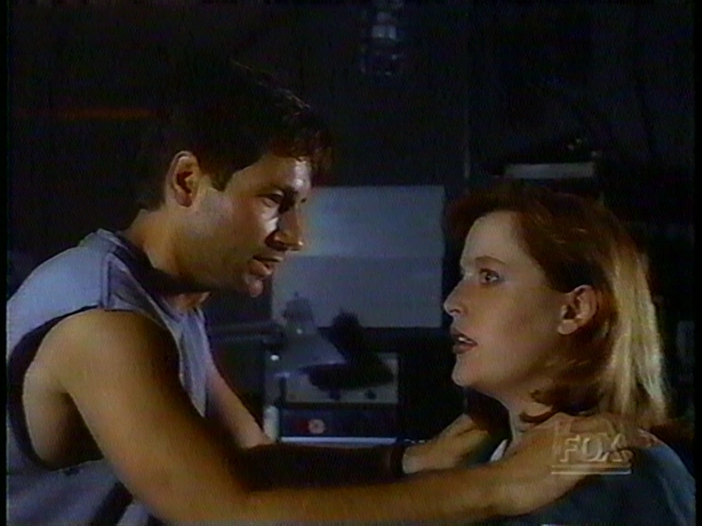 September 8, 1995 | FoxWorld Wiki | Fandom