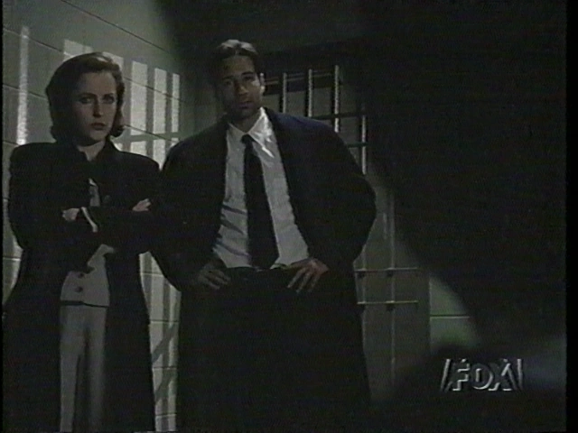 The X-Files/Terma | FoxWorld Wiki | Fandom