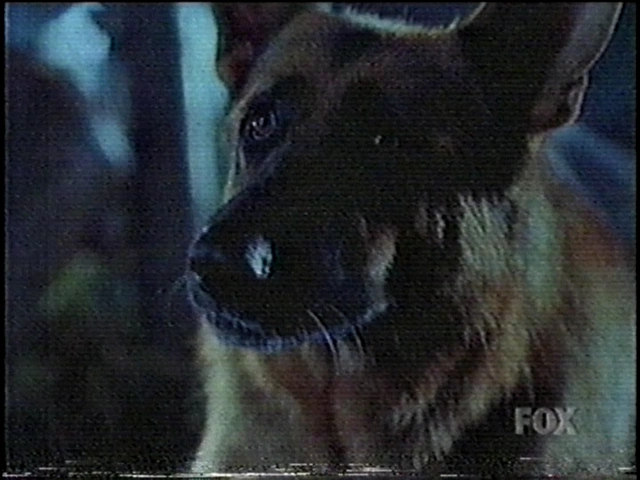 January 2, 2001 | FoxWorld Wiki | Fandom