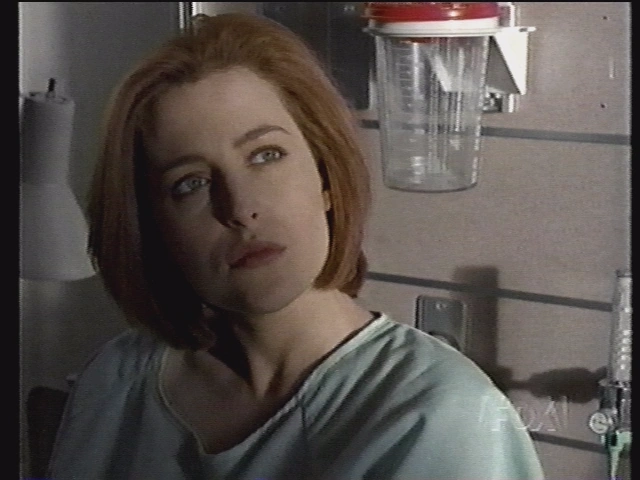 July 14, 1997 | FoxWorld Wiki | Fandom