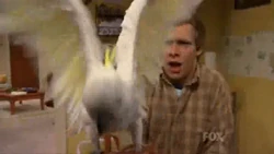 July 21, 2004 | FoxWorld Wiki | Fandom