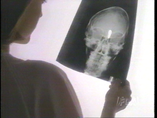 February 9, 1997 | FoxWorld Wiki | Fandom