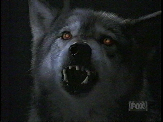 The X-Files/Alpha | FoxWorld Wiki | Fandom