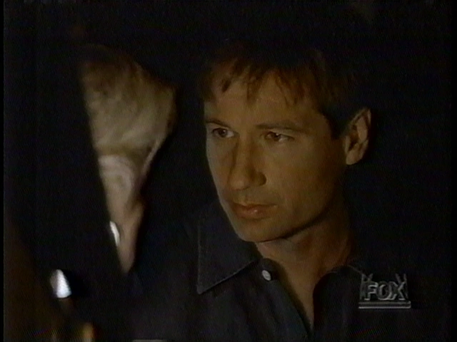 September 22, 1995 | FoxWorld Wiki | Fandom