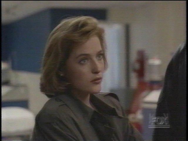 November 18, 1994 | FoxWorld Wiki | Fandom