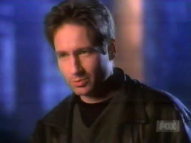 February 1, 1998 | FoxWorld Wiki | Fandom