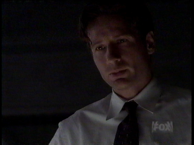 December 21, 1997 | FoxWorld Wiki | Fandom