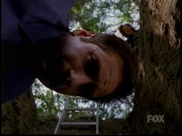 The X-Files/Millennium | FoxWorld Wiki | Fandom