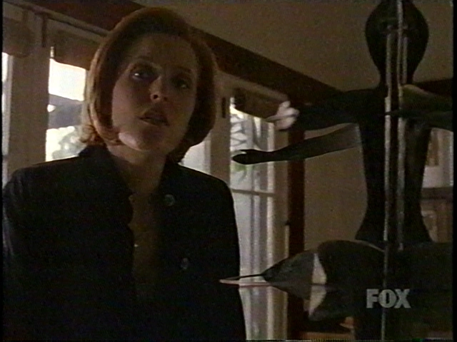 The X-Files/all things | FoxWorld Wiki | Fandom