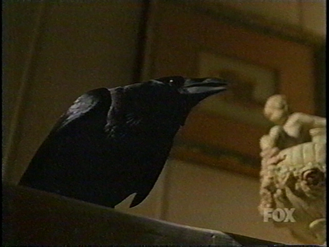 The X-Files/Chimera | FoxWorld Wiki | Fandom